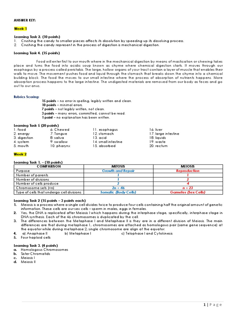 Science - 8-Q4 - Week - 1-5 - LAS-answer Key | PDF | Meiosis | Digestion