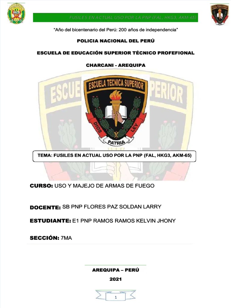 Fusiles de La PNP | PDF | Rifle | Valores