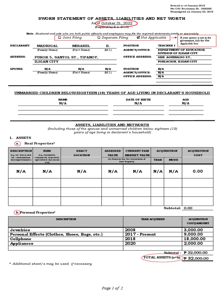 Sample Version - SALN Form | PDF | Net Worth | Economies
