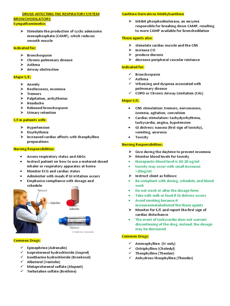 Drugs Affecting The Respiratory System | PDF | Clinical Medicine ...