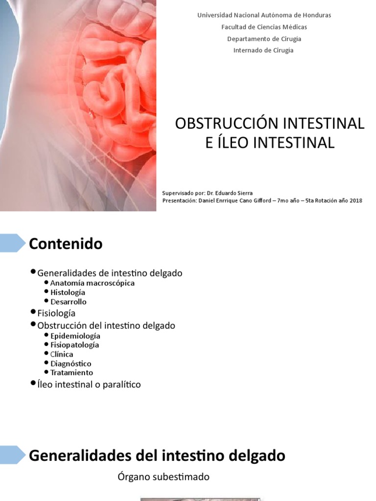 Obstrucción Intestinal e Íleo Intestinal | PDF | Intestino delgado ...