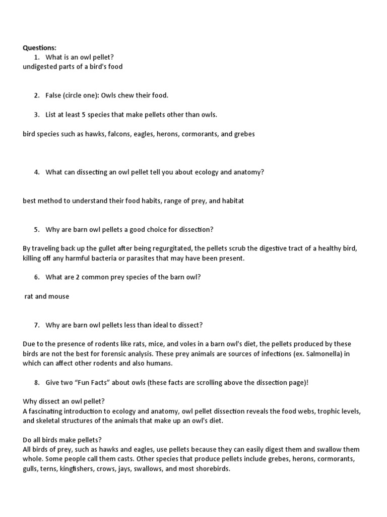 Virtual Owl Pellet Dissection Lab | PDF