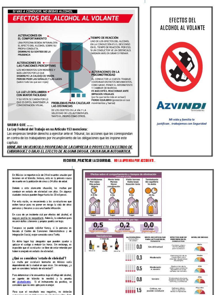 Tríptico Efectos Del Alcohol Al Volante | PDF | Intoxicación alcohólica ...