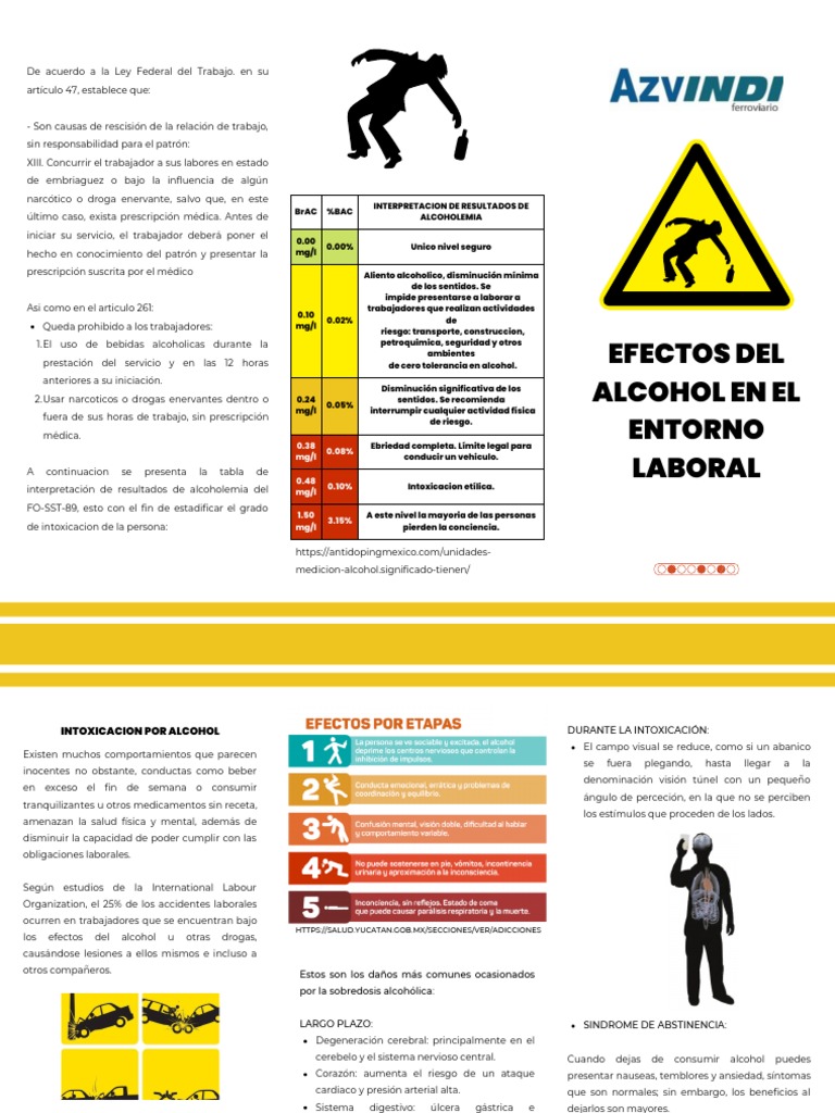 Tríptico Efectos Del Alcohol en El Entorno Laboral | PDF | Despachador ...