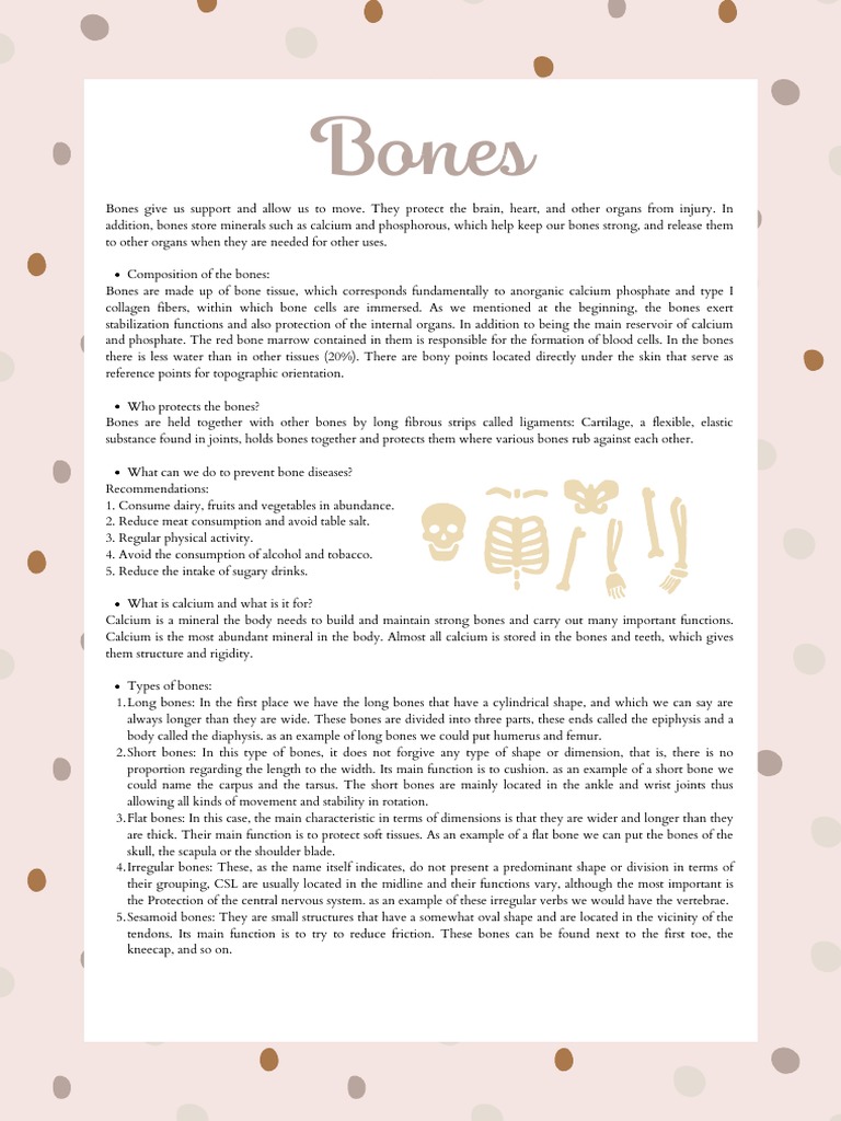 Bones | PDF | Bone | Anatomy