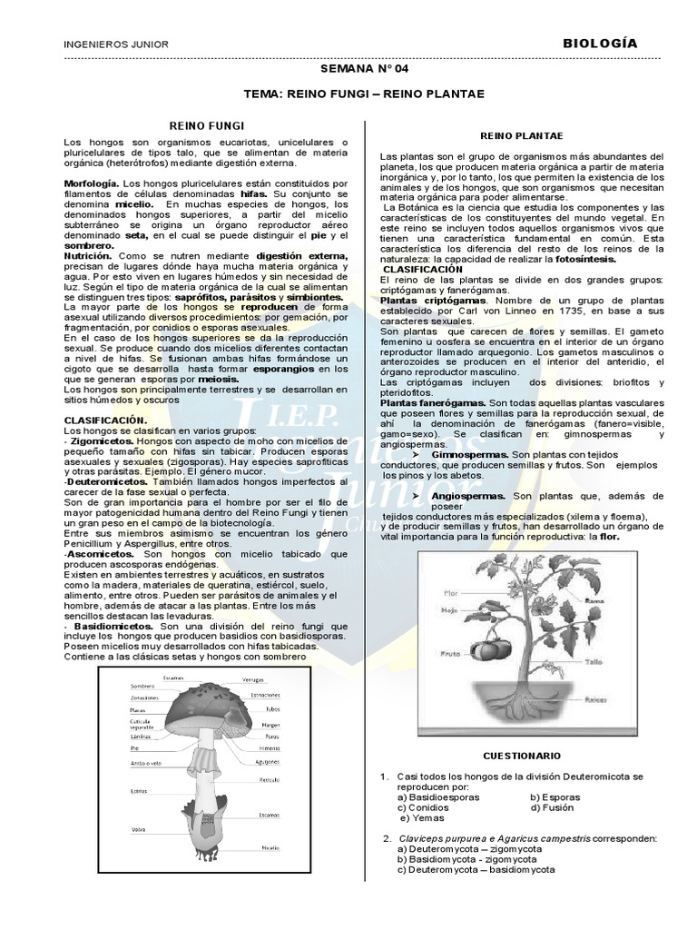 BIOLOGIA | PDF | Hongo | Plantas