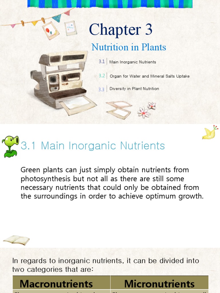 Biology Form 5 Presentation | PDF | Plant Nutrition | Nutrients