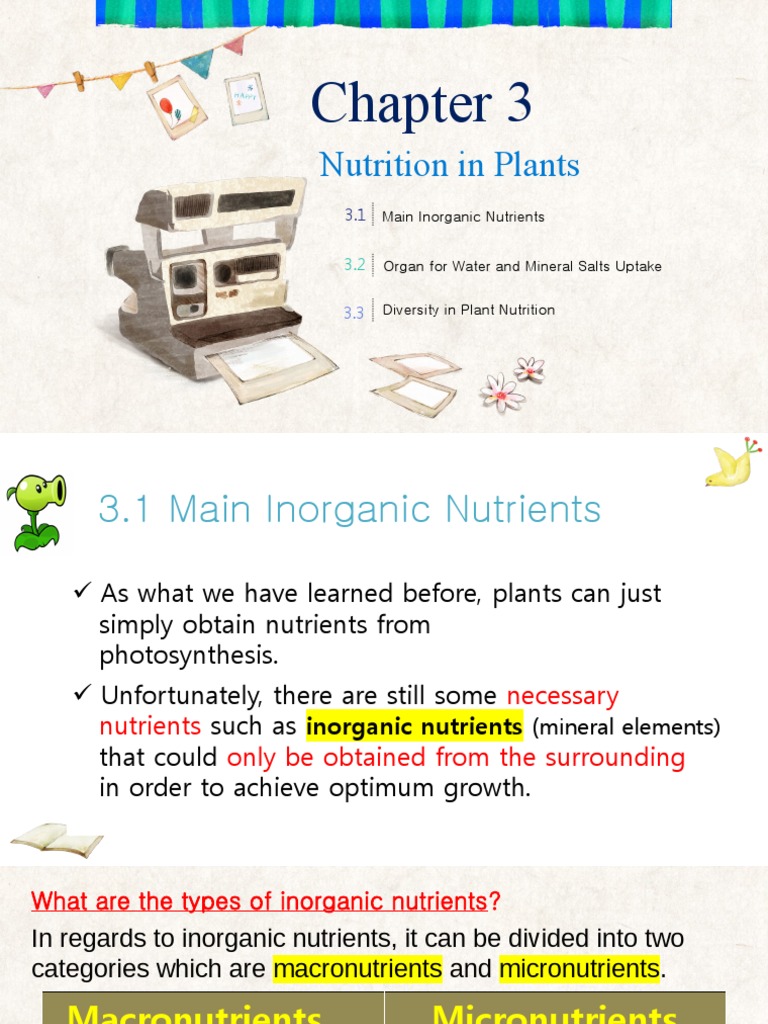 Biology Chapter 3 Form 5 Presentation (Latest) | PDF | Plant Nutrition ...
