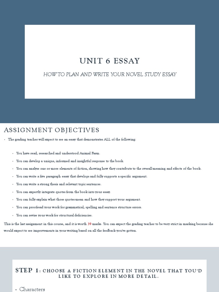 How To Write Your Novel Study Essay | PDF | Essays