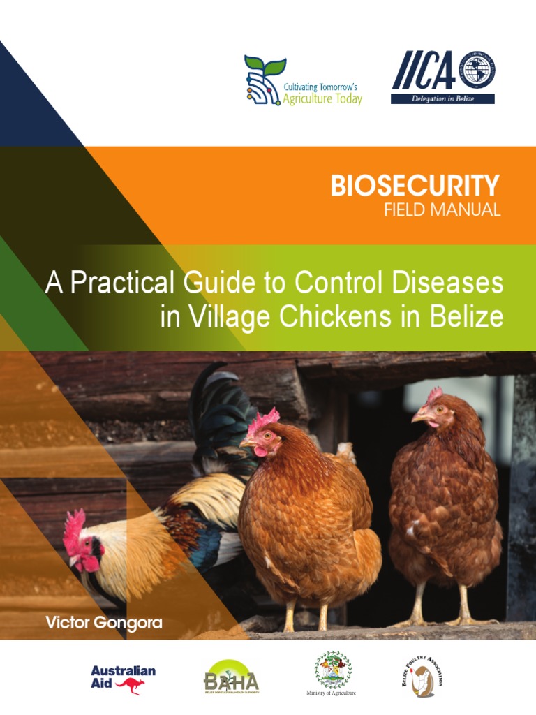 IICA-Biosecurity Field Manual - For Village Chickens - VG | PDF | Avian ...