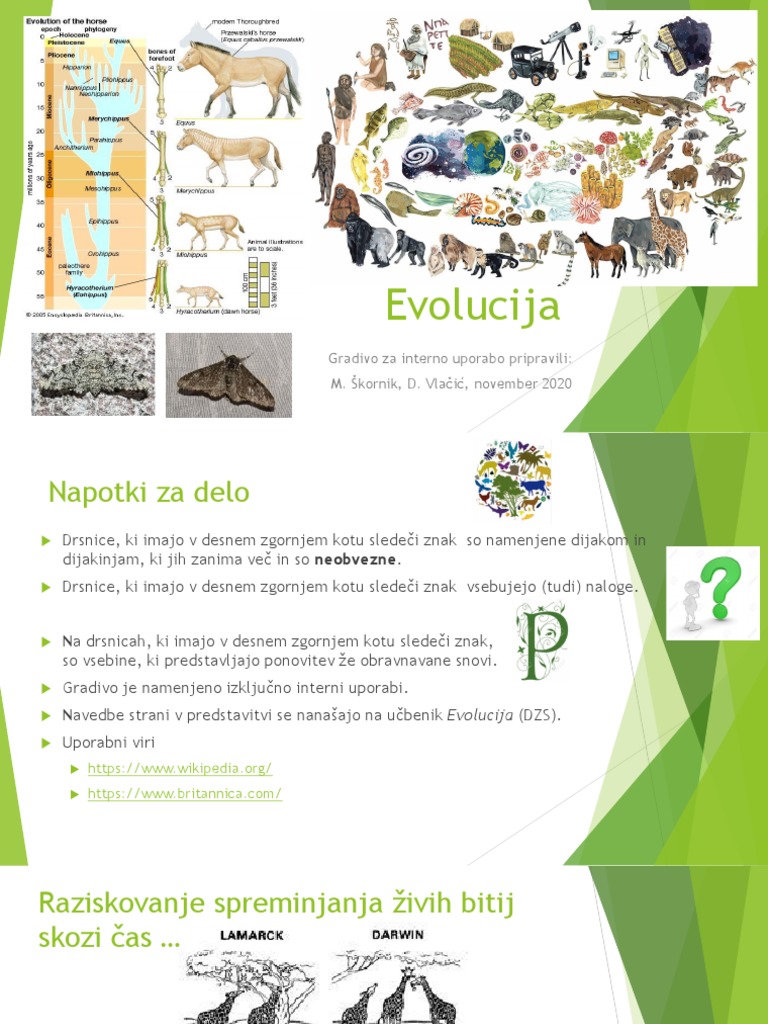 2.2 Evolucija - 1.del | PDF