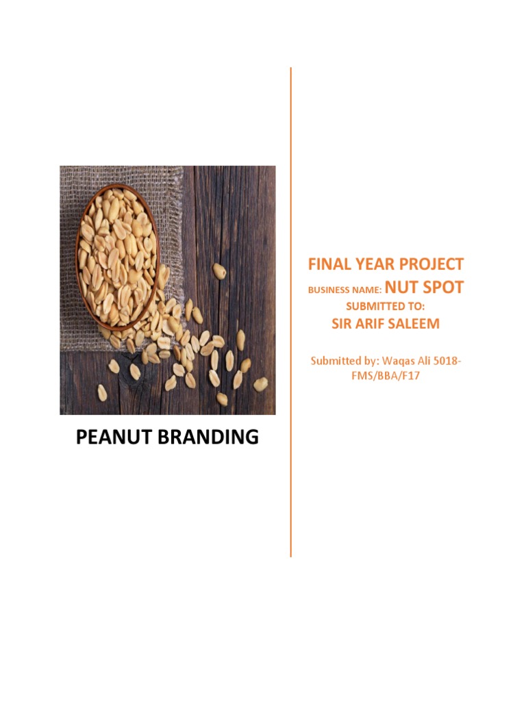 Nut Spot: Innovative Peanut Branding Project | PDF | Peanuts | Brand