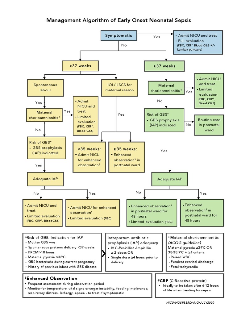 Neonatal Sepsis Algorithm2 | PDF | Neonatal Intensive Care Unit ...