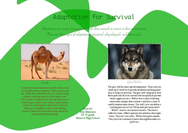 Adaption For Survival | PDF
