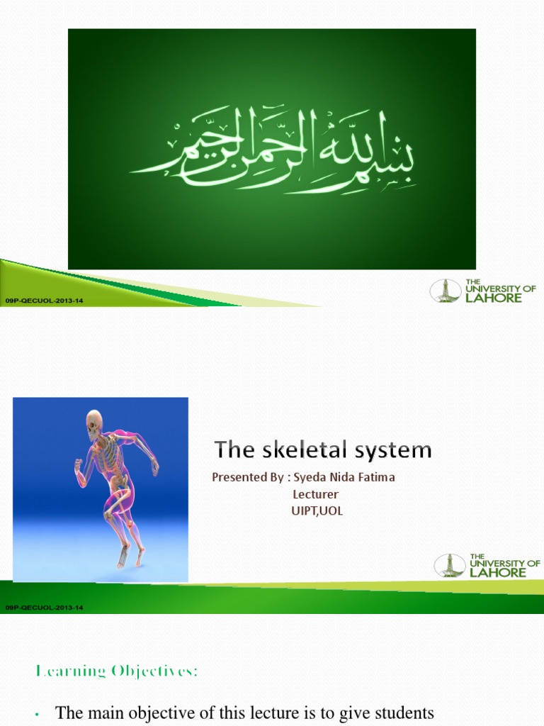 Lecture 8 (Muscular System Lecture 2) | PDF | Skeletal Muscle | Muscle Contraction