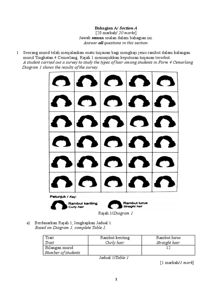 F4 Pat Paper 2 2022 | PDF