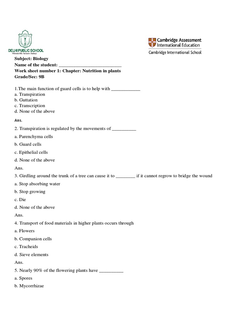 Biology Worksheet - Chapter Nutrition in Plants | PDF | Home & Garden ...