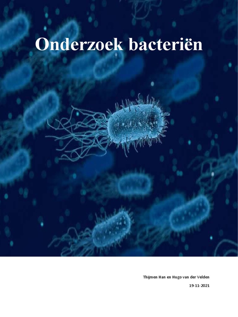Biologie Onderzoek Bacteriën | PDF