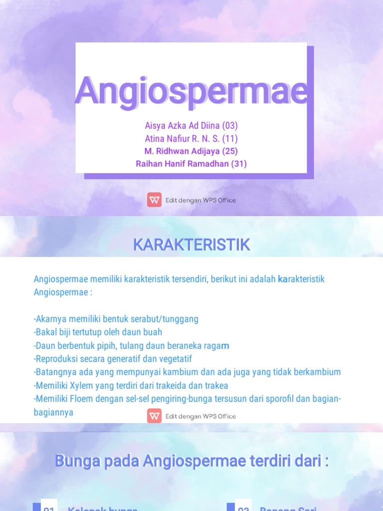 Angiospermae | PDF