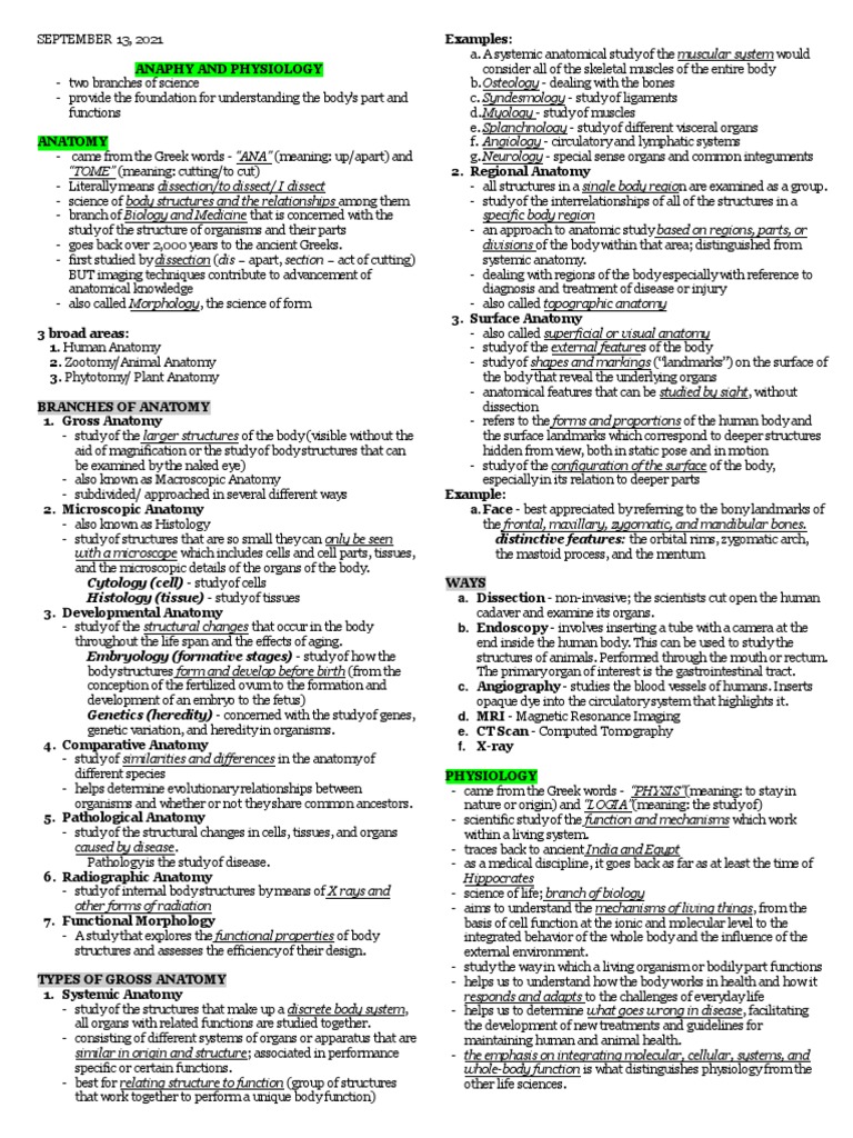Anatomy and Physiology Lecture Notes Chapter 1 | PDF | Peritoneum ...