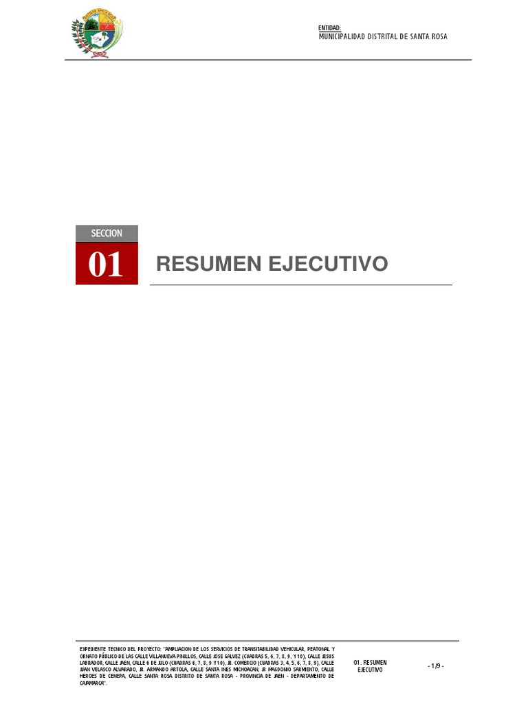 Resumen Ejec. | PDF | Transporte | Transporte de tierra