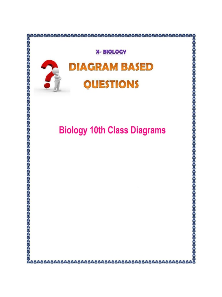 SSC Biology Diagrams Important Questions | PDF