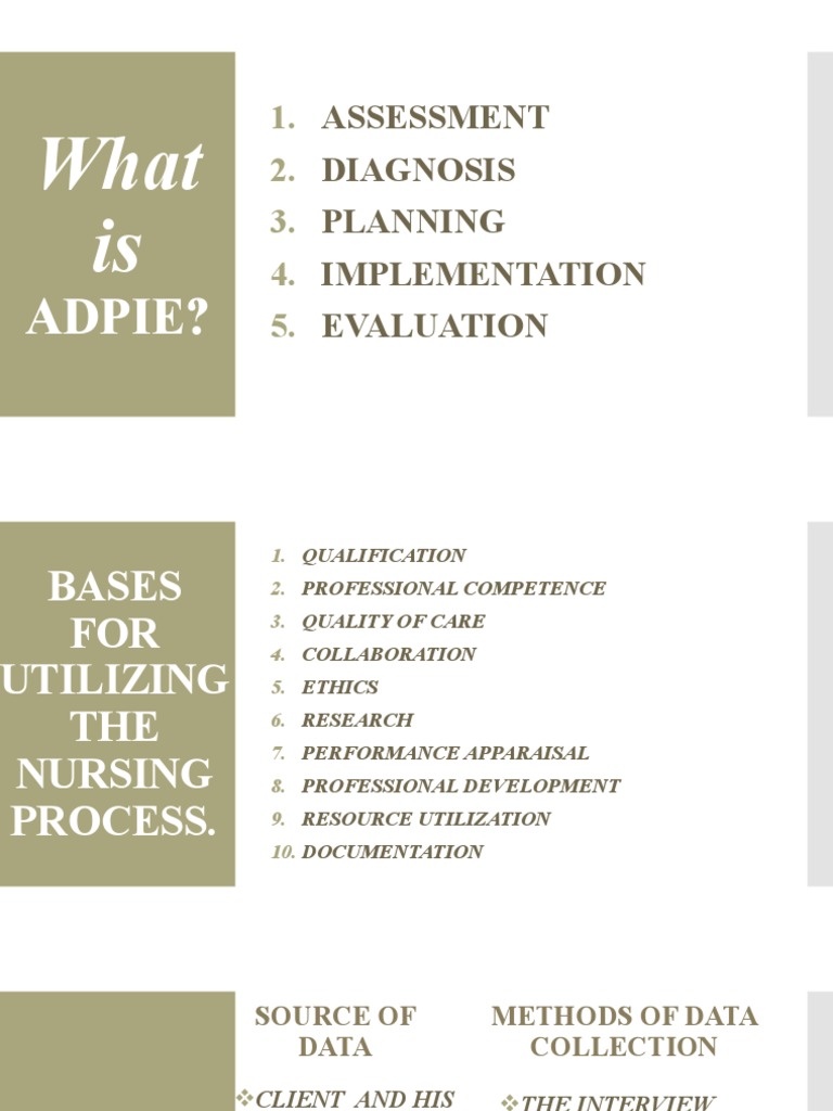 What Is Adpie | Download Free PDF | Nursing | Health Care