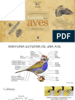 Tipos y adaptaciones del pico de aves | PDF