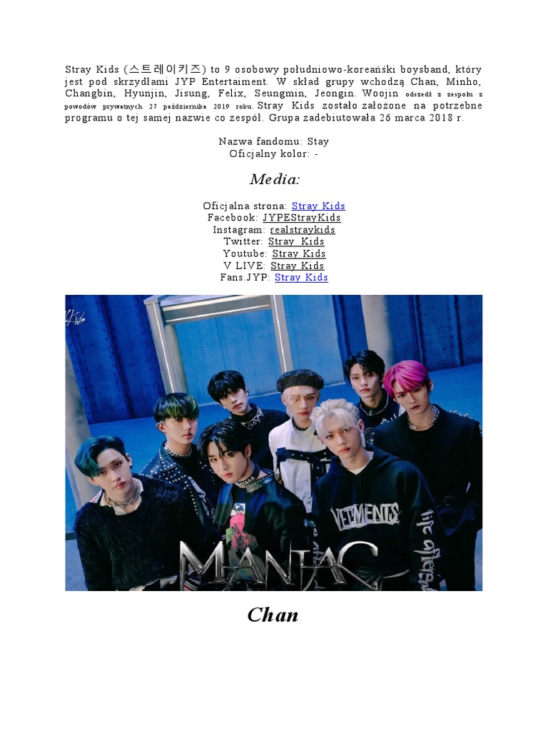 O Stray Kids | PDF