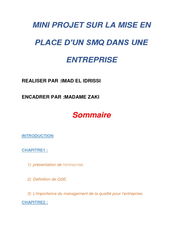 Mini Projet | PDF | Système de management de la qualité | Management de ...