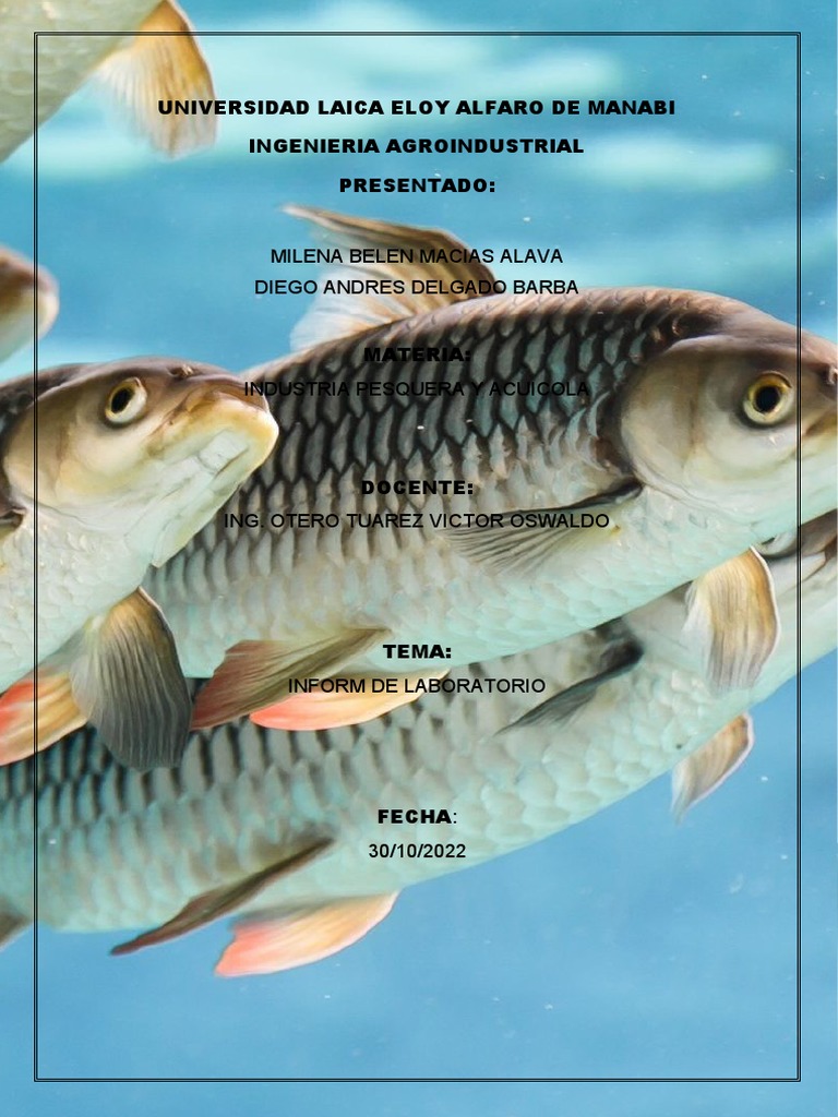Informe Laboratorio Pesqueros | Descargar gratis PDF | Pescado | Carne