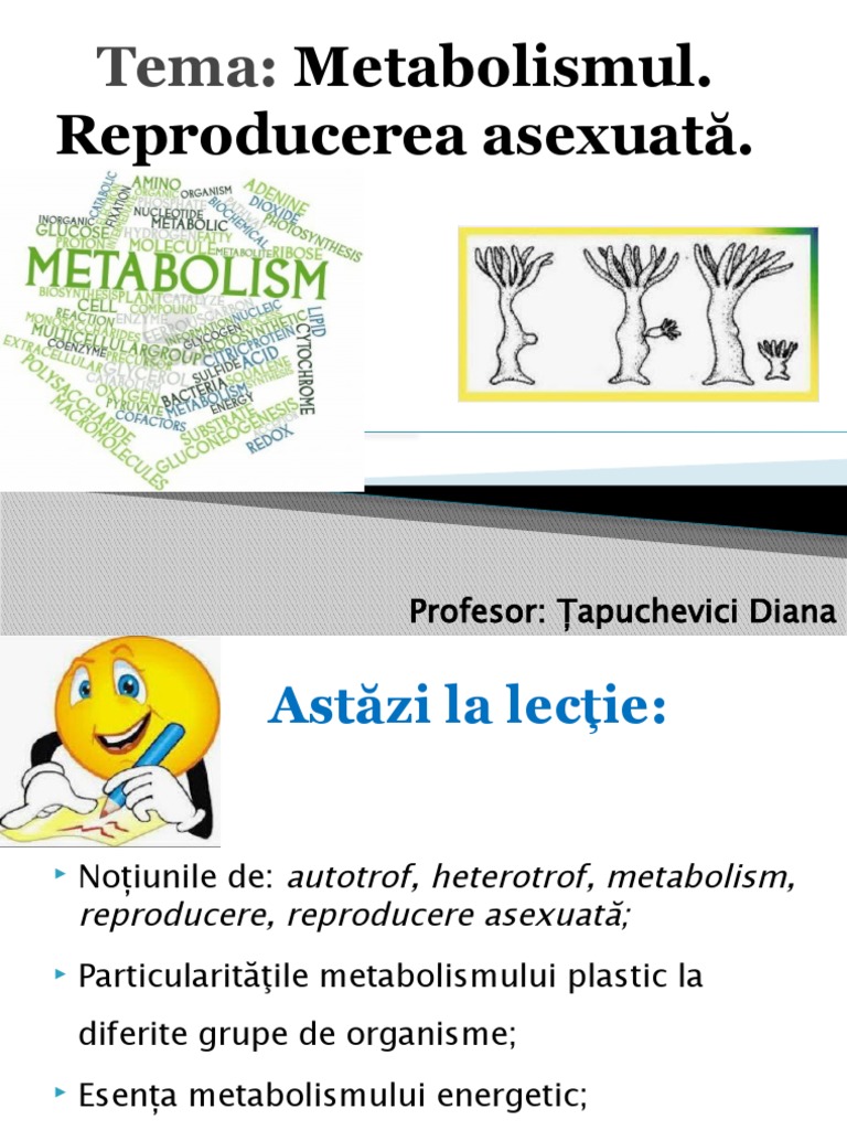 Metabolismul. Reproducerea Asexuata | PDF
