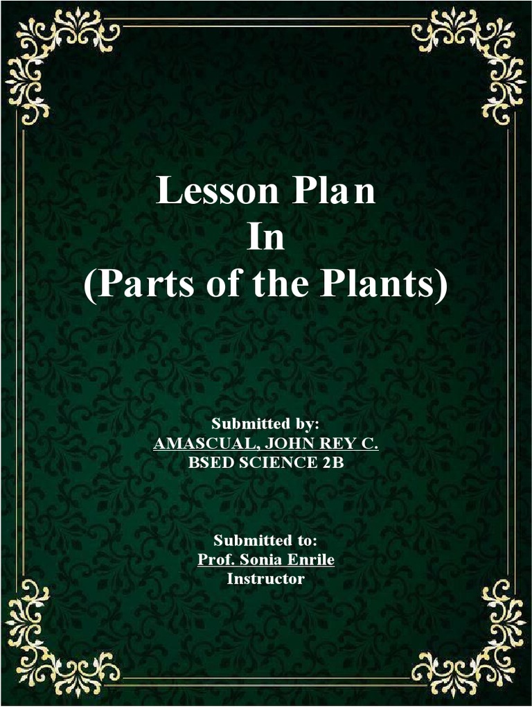 Lesson Plan: Parts of Plants for Grade 1 | PDF | Lesson Plan | Teachers