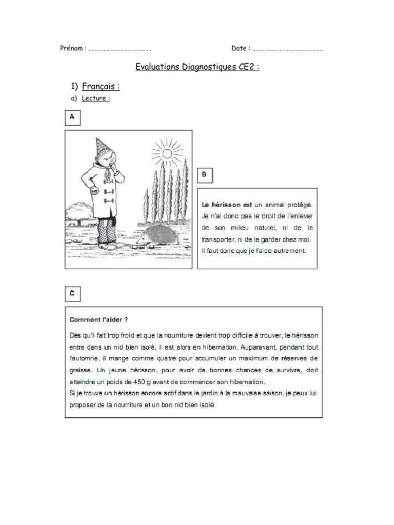 Evaluation Diagnostique CE2 | PDF