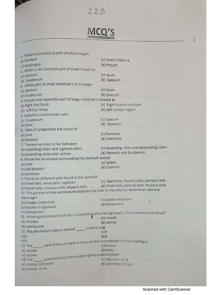 Digestive System MCQs-Anatomy | PDF