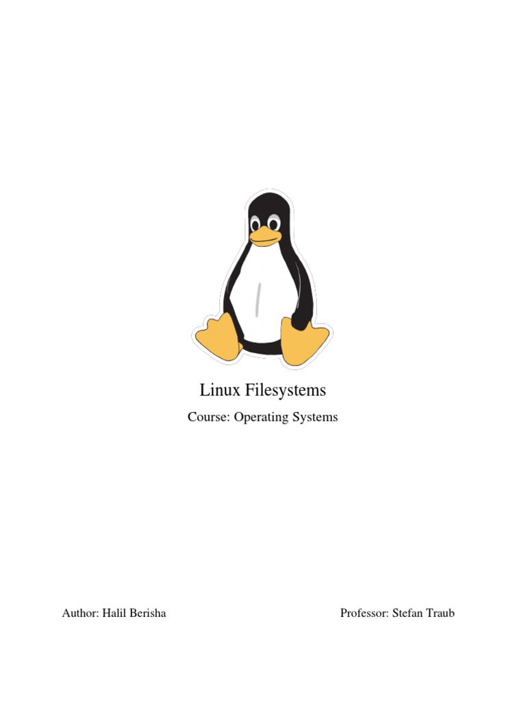 Linux Filesystems Pdf File System Computer File 