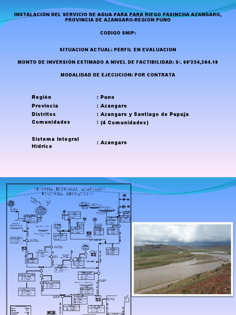 Exposicion Pasincha Azangaro | PDF | Vacas | Oveja