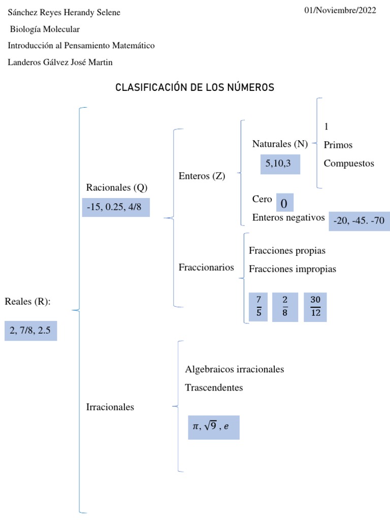 Clasificación de Números Matemáticos | PDF