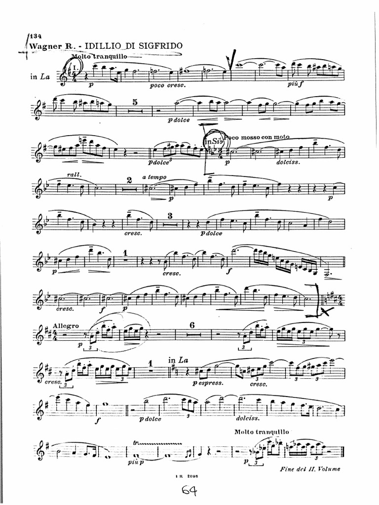 Wagner - Idilio de Sigfrido | PDF