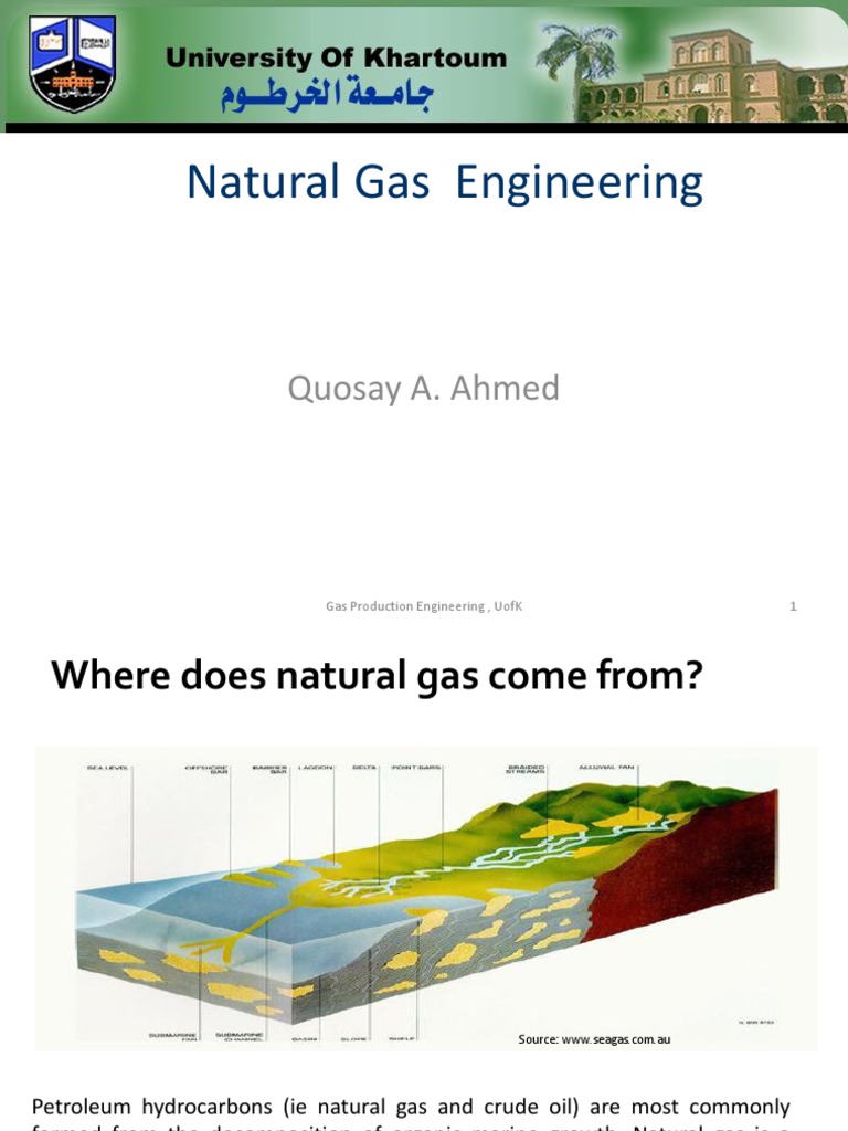 Gas Engineering Course 2017 | PDF | Natural Gas | Fluid Dynamics