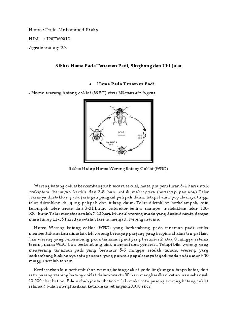 Daffa Muhammad - Siklus Hidup Hama | PDF