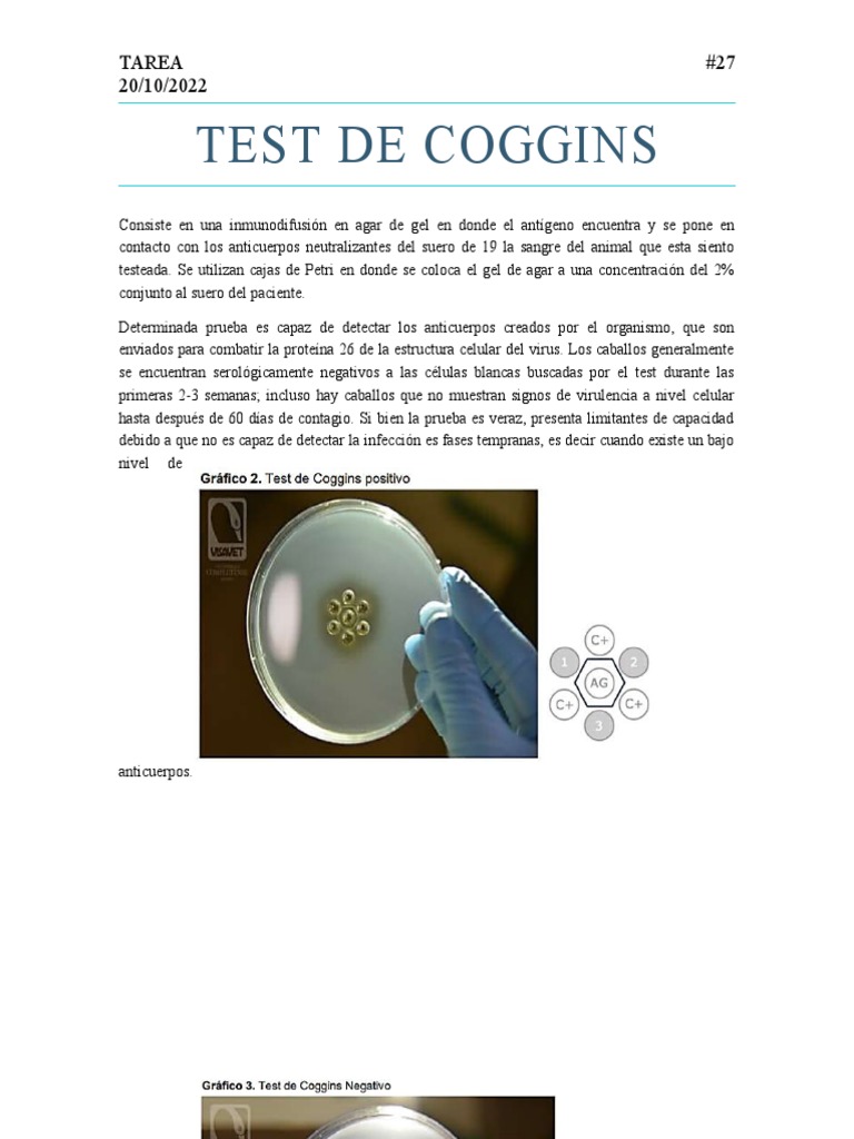 TAREA Nro 27 Test de Coggins | PDF