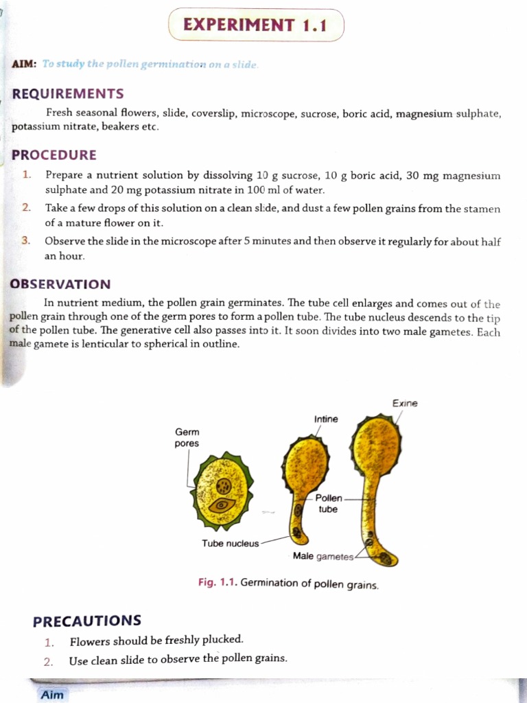12th Biology Practicals | PDF