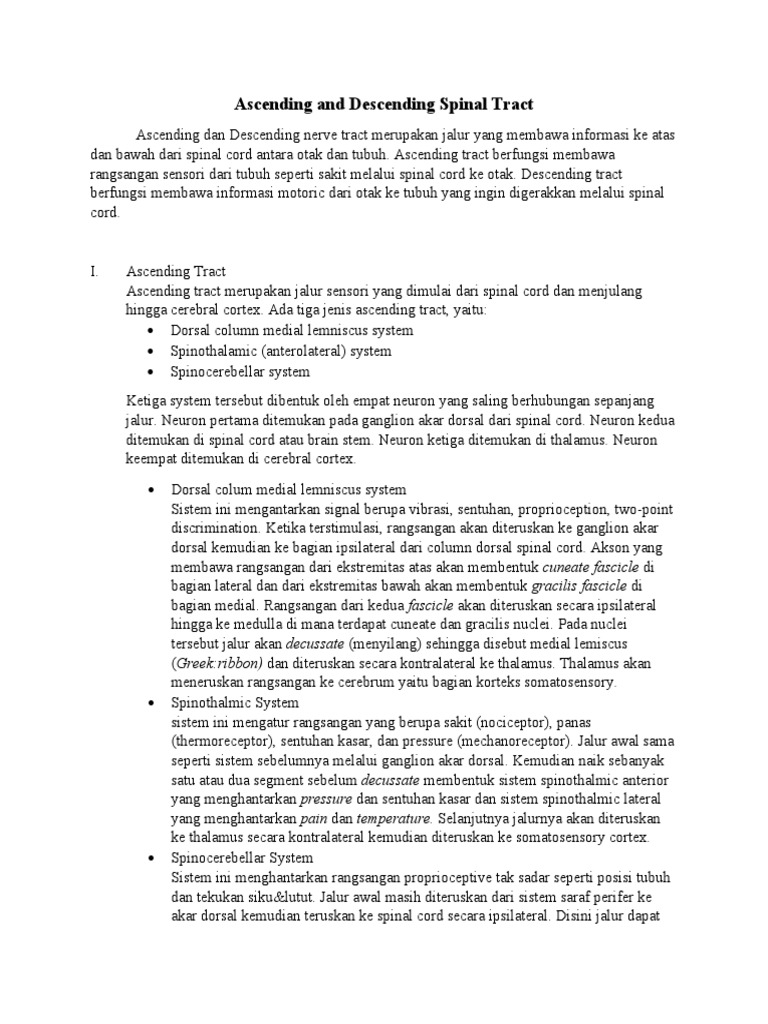Ascending and Descending Spinal Tract | PDF
