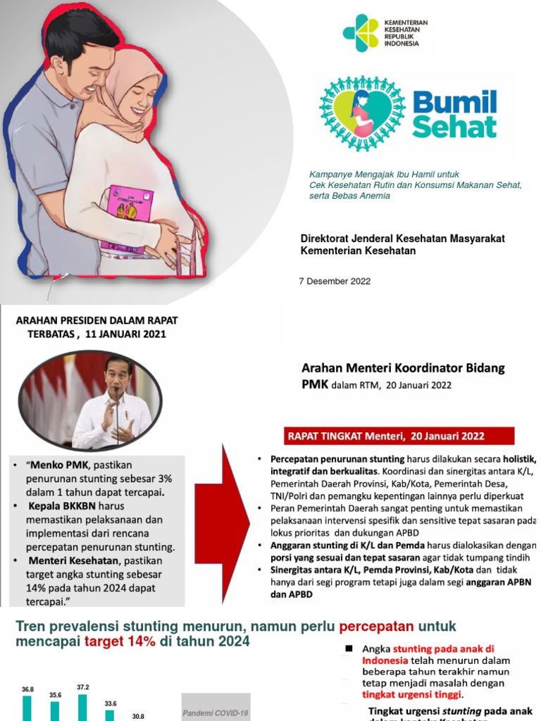 V13 - Rencana Gerakan Bumil Sehat | PDF