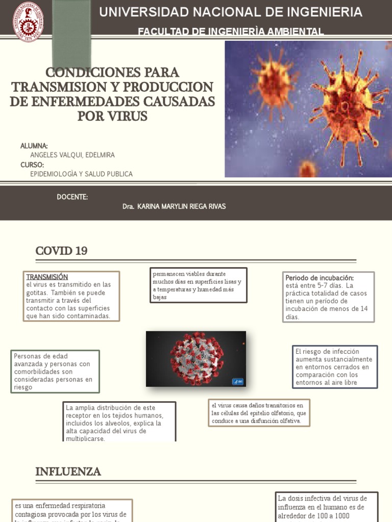 Edelmira - Virus | PDF | Virus | Influenza