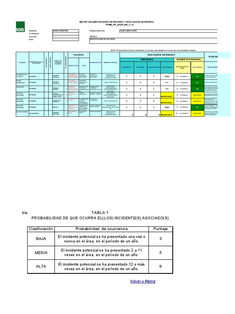 Formato Matriz IPER | PDF | Higiene Ocupacional | Seguridad y salud ...