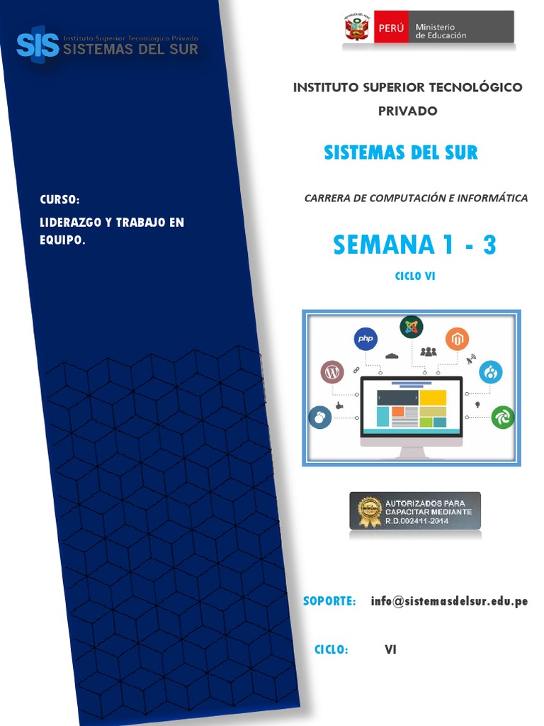 Que Es El Liderazgo | PDF | Liderazgo | Planificación