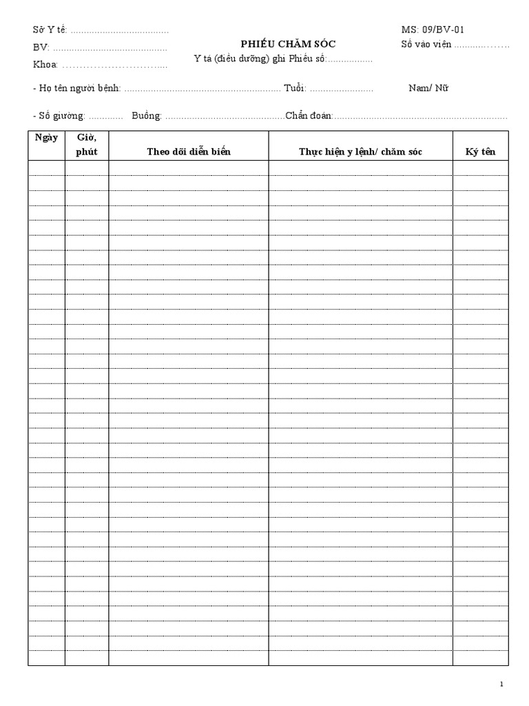 Mau Phieu Cham Soc | PDF