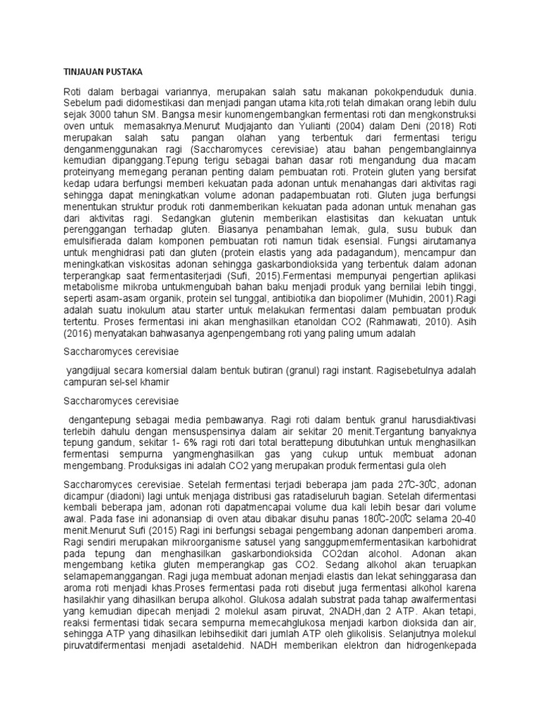 Proses Fermentasi Roti | PDF